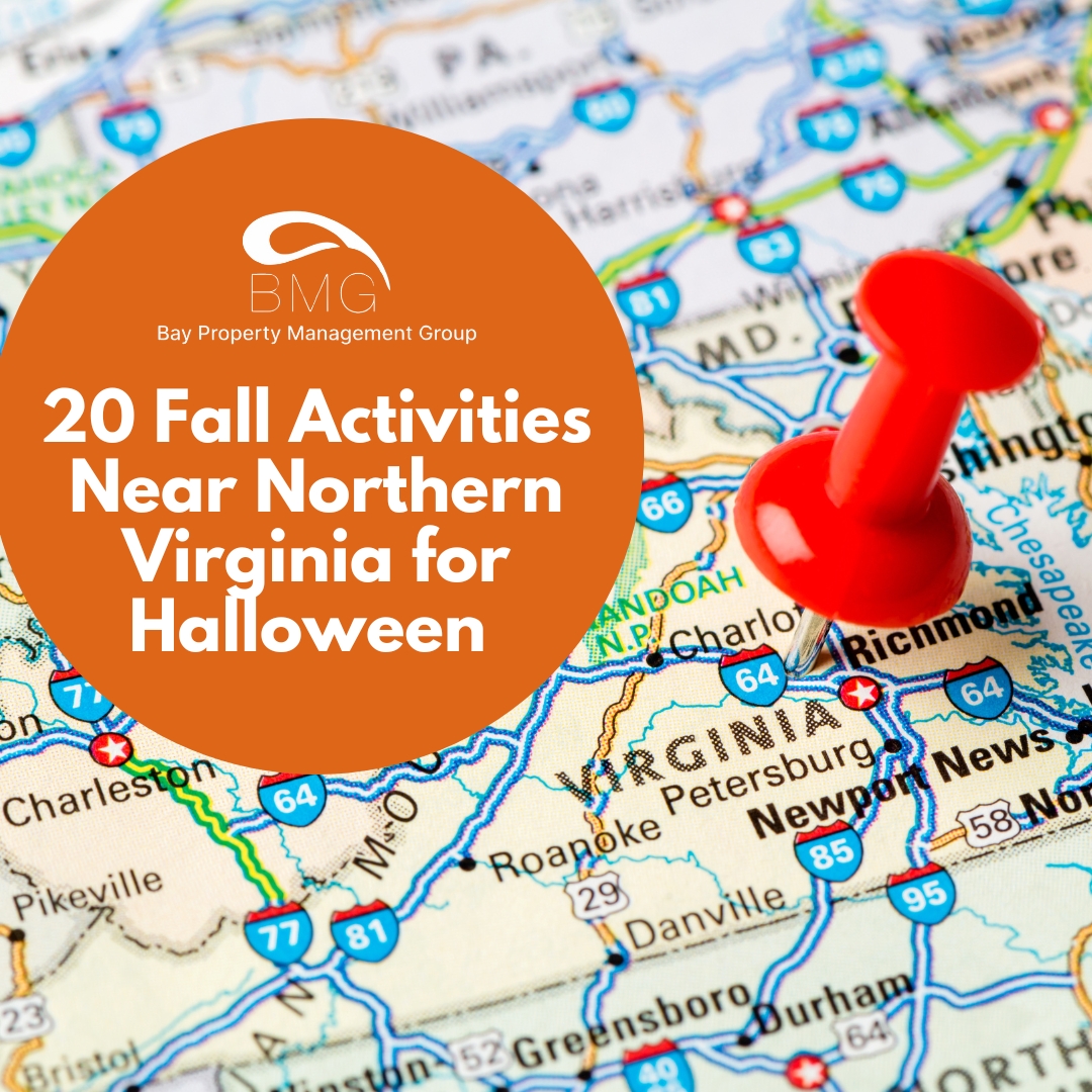 20 Fall Activities Near North Virginia for Halloween Season